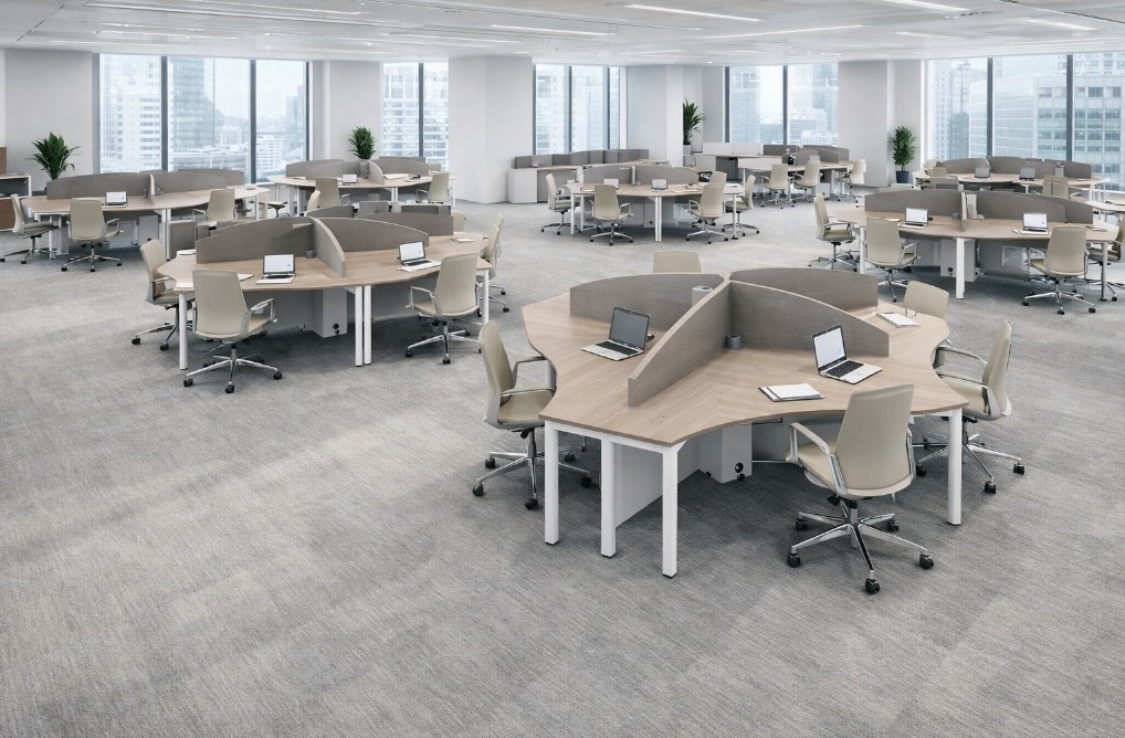 Ley Silla - Ofisillas - Tienda de Sillas para Oficina